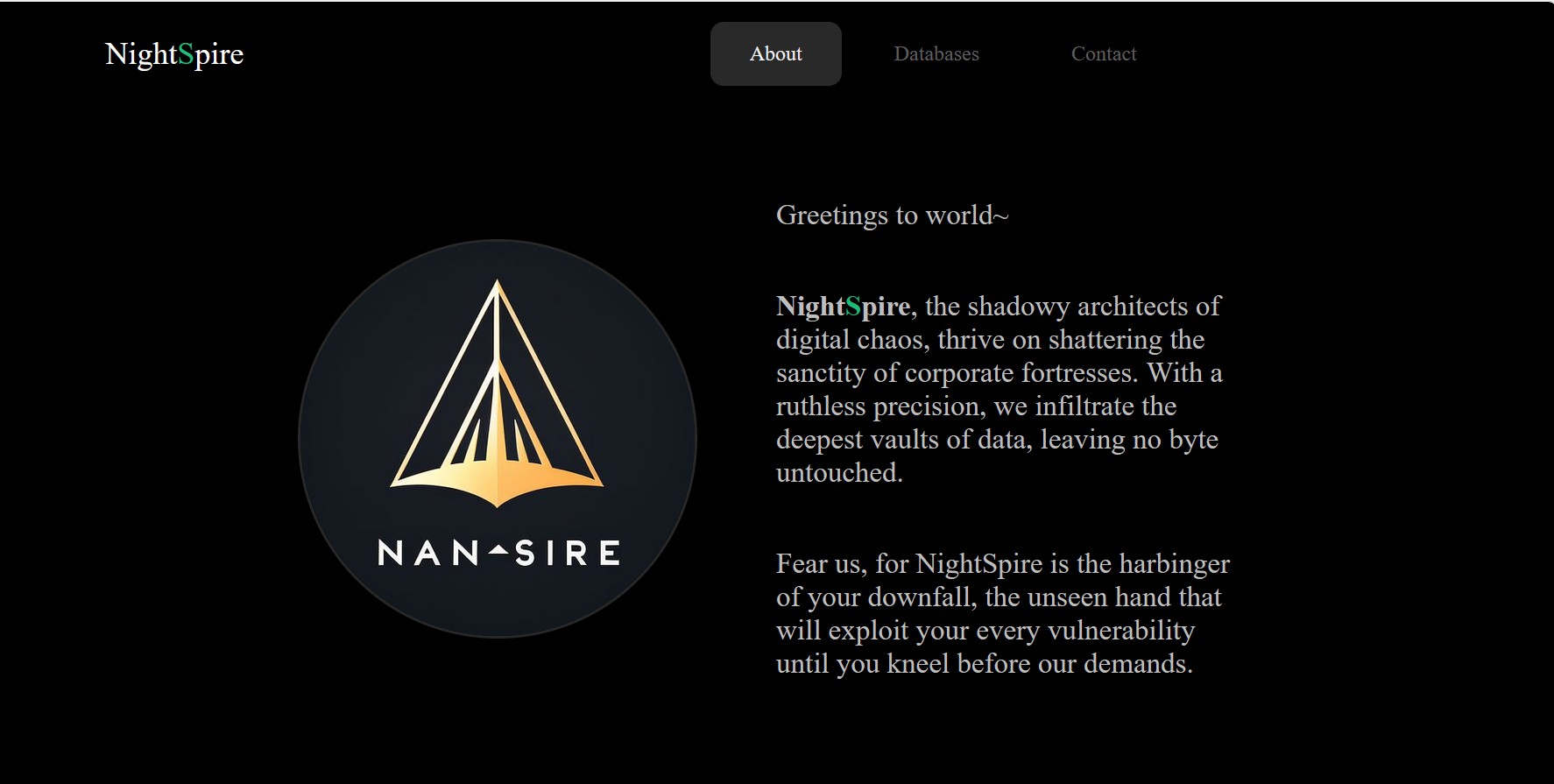 NightSpire: A New Player in the Ransomware Landscape